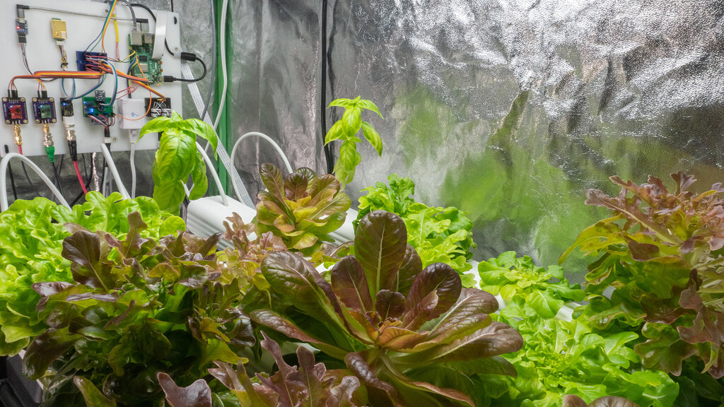 What is the most compact hydroponics setup with Mycodo? - Radical DIY Forum